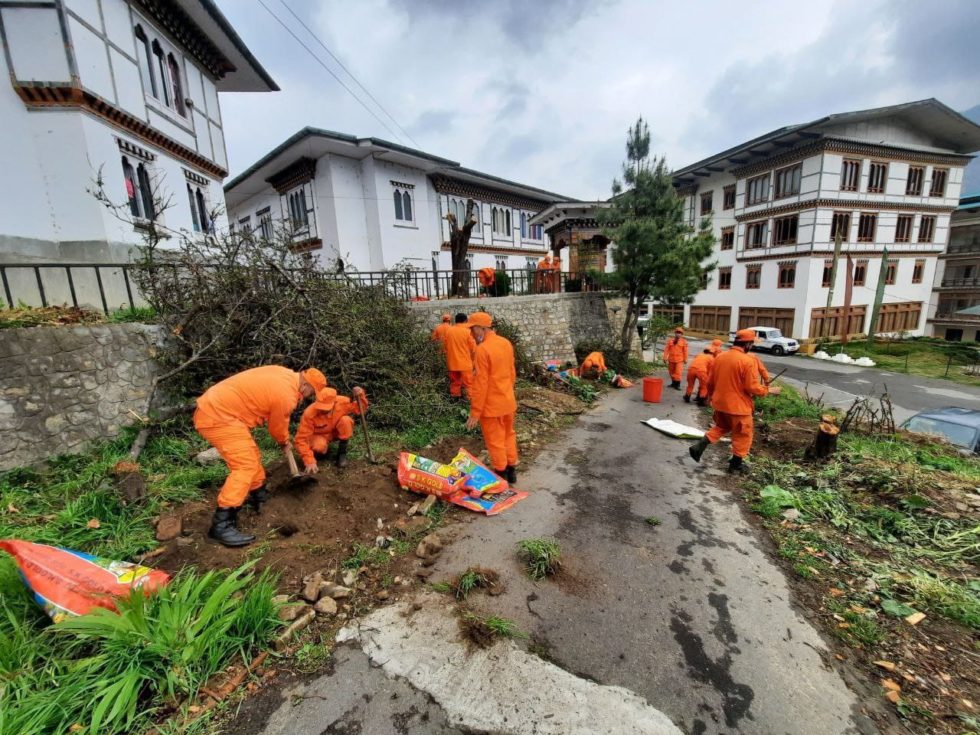 FNPH Campus Plantation Report: | Faculty of Nursing and Public Health